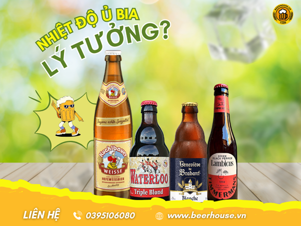 BẬT MÍ NHIỆT ĐỘ Ủ BIA “LÝ TƯỞNG” - BÍ QUYẾT CHO LY BIA THƠM NGON